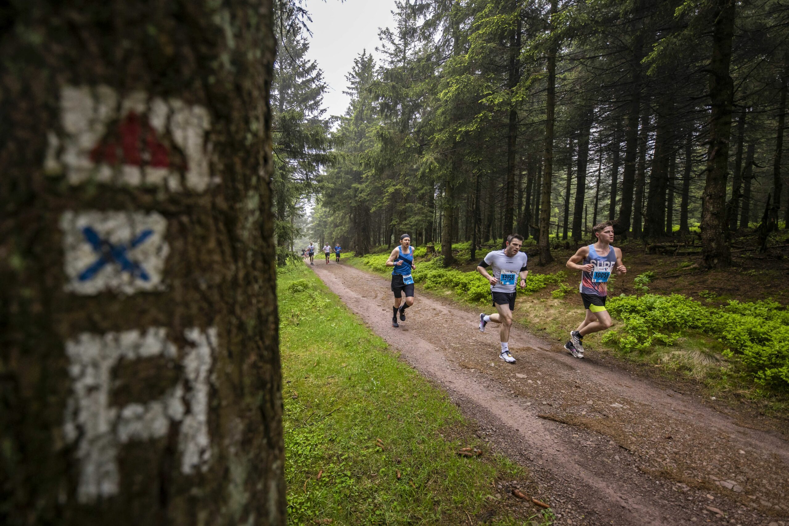 Pfingstgrüße an Traditions-Rennsteigläuferinnen und -läufer